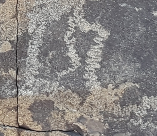 A moment on the bottom of an ancient sea floor. 1-5-17 – The Catskill ...