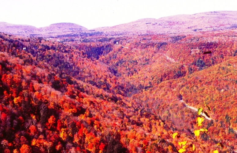 Visions of an ice age past 4 – Kaaterskill Clove – The Catskill Geologist