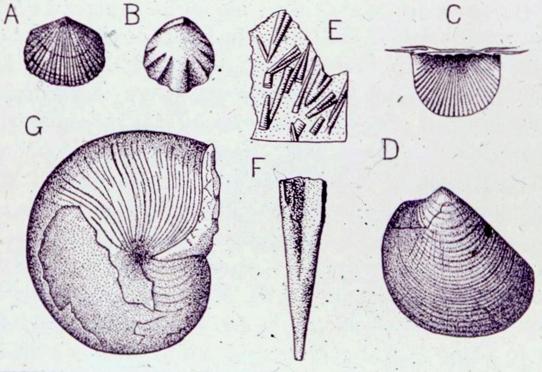 The Poison Sea May 31, 2018 – The Catskill Geologist