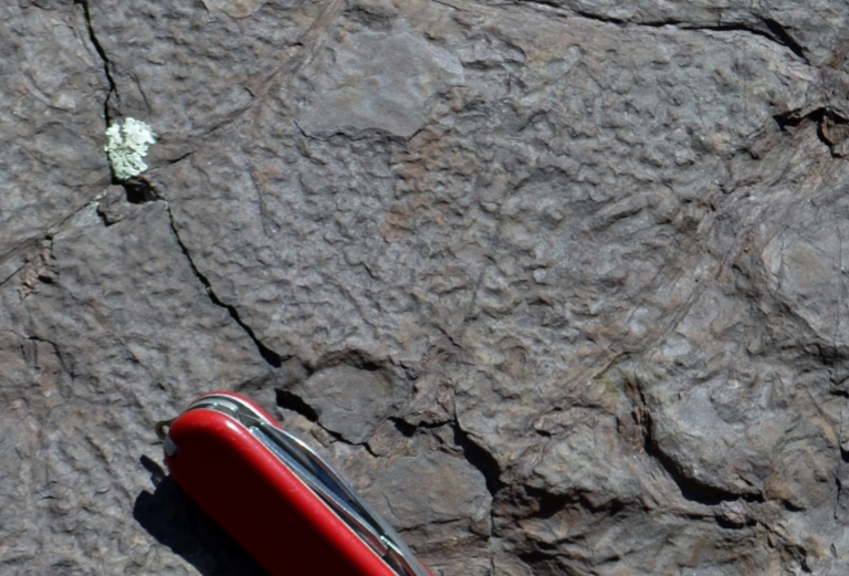 Fossil rain drops? Aug. 16, 2018 – The Catskill Geologist