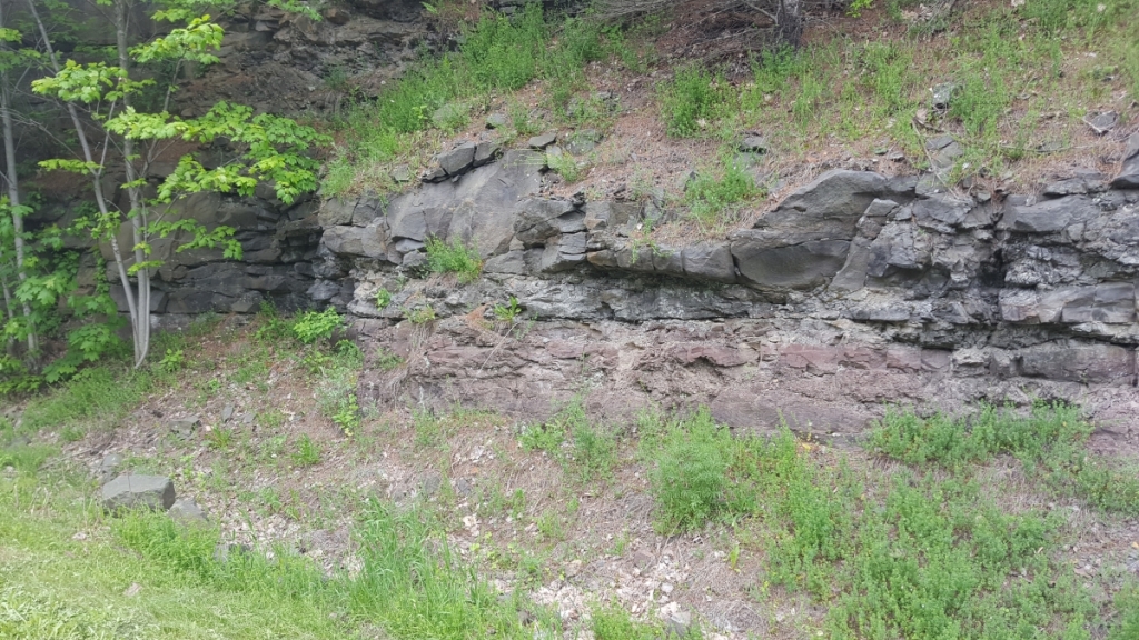 A petrified delta Feb. 21, 2019 – The Catskill Geologist