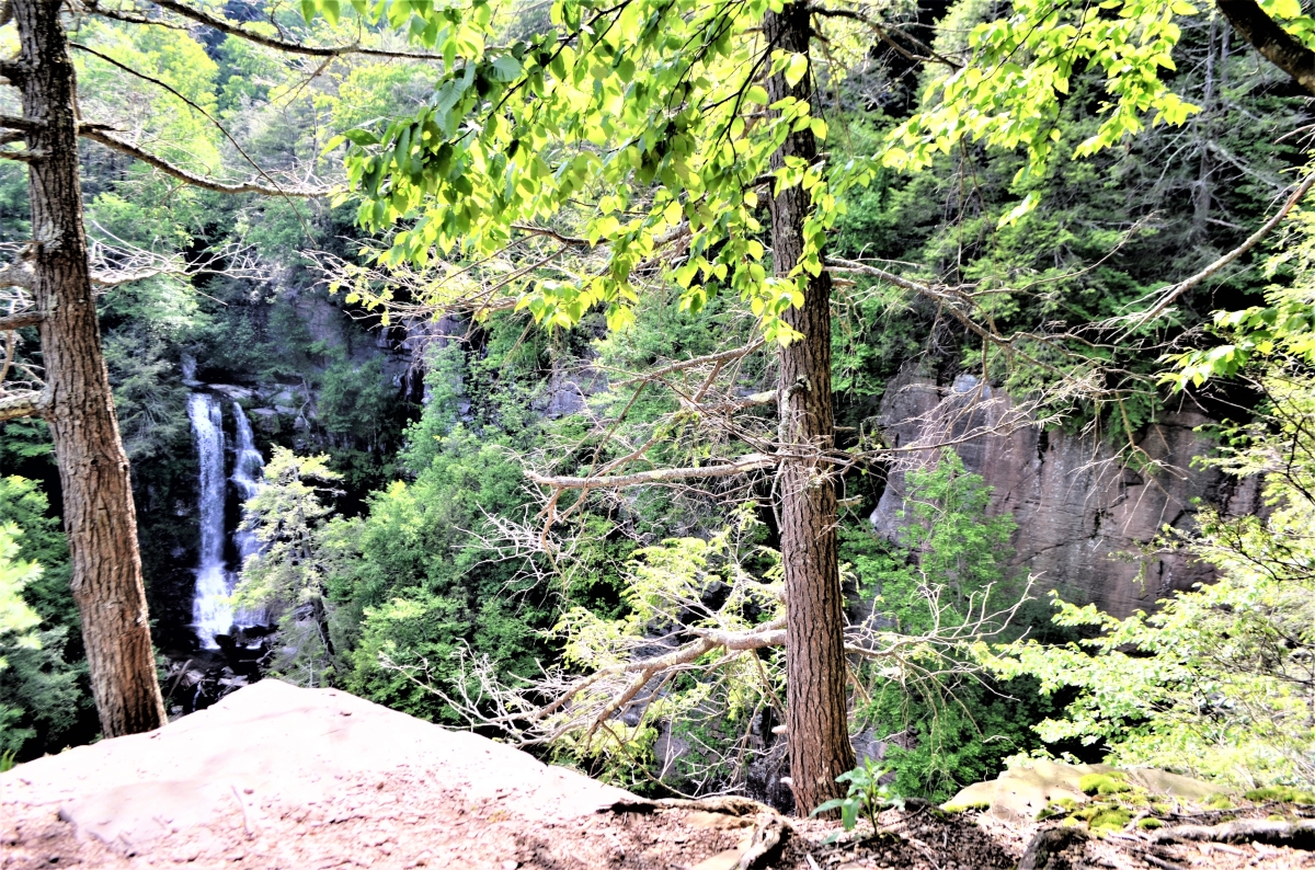 Plattekill Clove May 17, 2019 – The Catskill Geologist