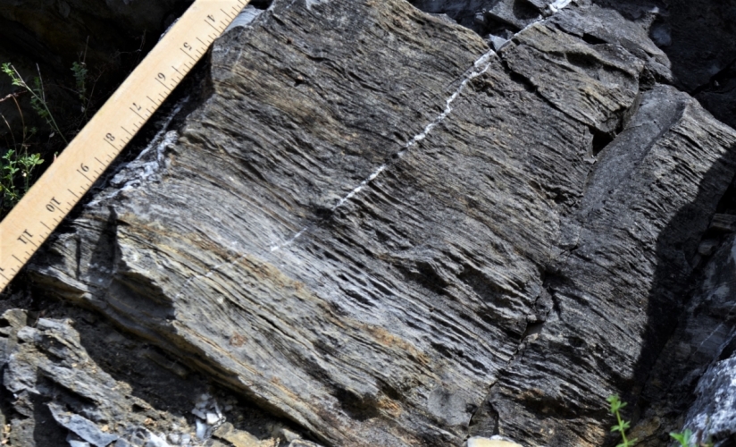 The Manlius Limestone July 4, 2019 – The Catskill Geologist