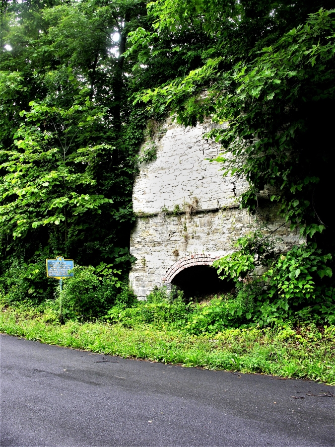 GreeneCounty Devonian: the coral reefs arrive – The Catskill Geologist