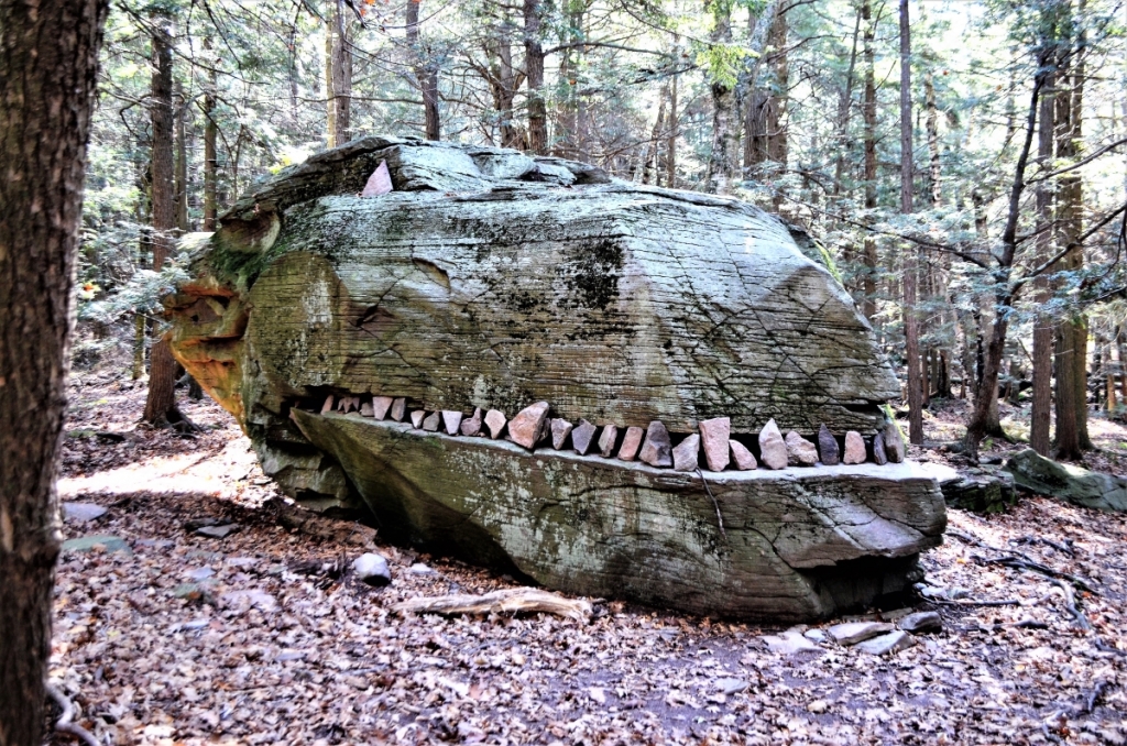 Erratic behavior – Alligator Rock 10-24-9 – The Catskill Geologist
