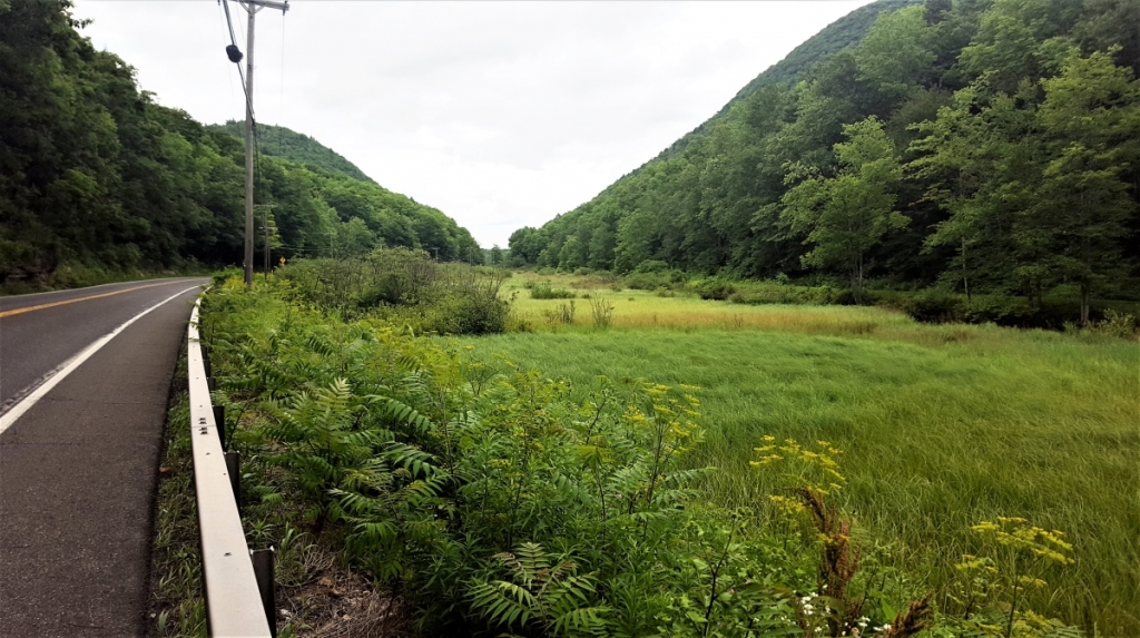 A trip through Grand Gorge (185) 2-6-20 – The Catskill Geologist