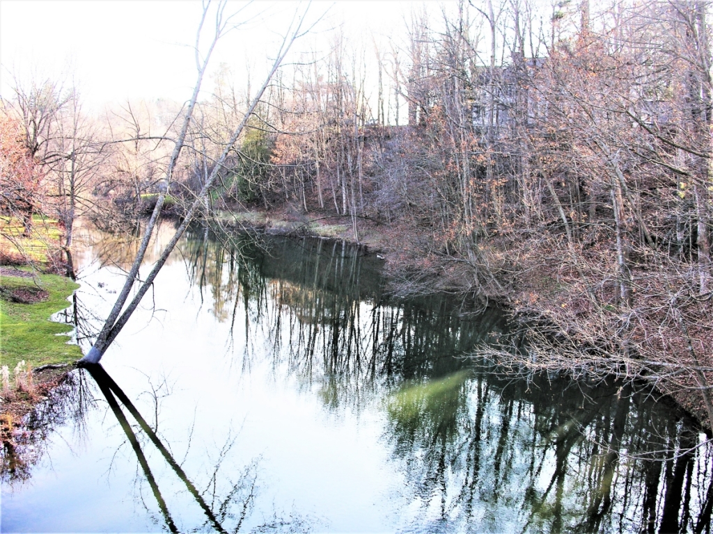 Lake Cooperstown May 7, 2020 – The Catskill Geologist