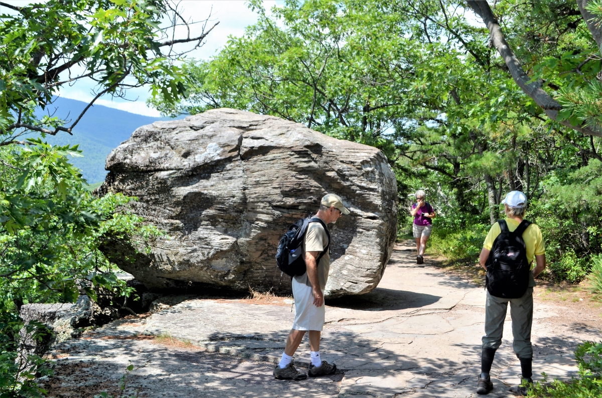 Boulder Rock July 2, 2020 – The Catskill Geologist