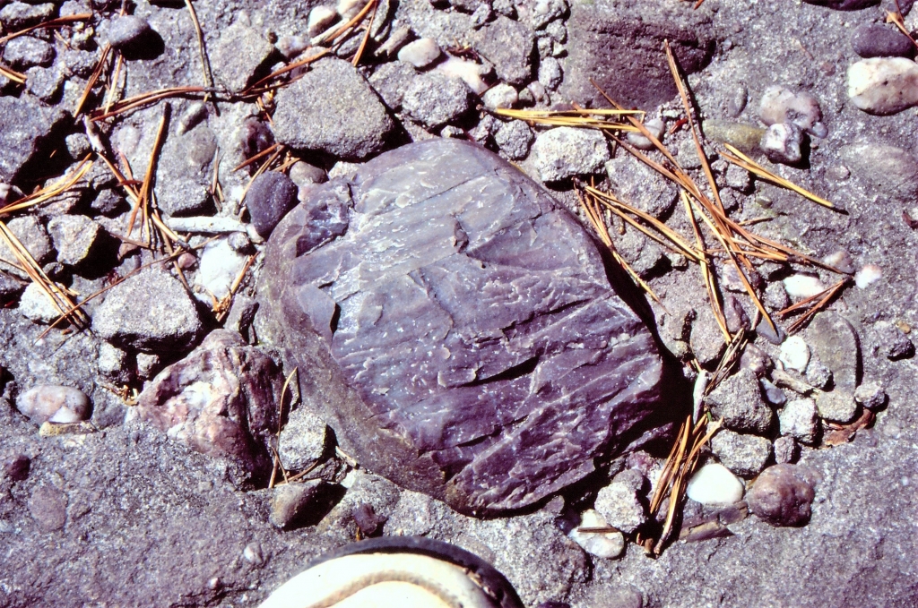 Puddingstone at North Lake 12-31-20 – The Catskill Geologist