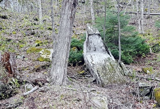 TheDevil’s Tombstone Feb. 25, 2021 – The Catskill Geologist