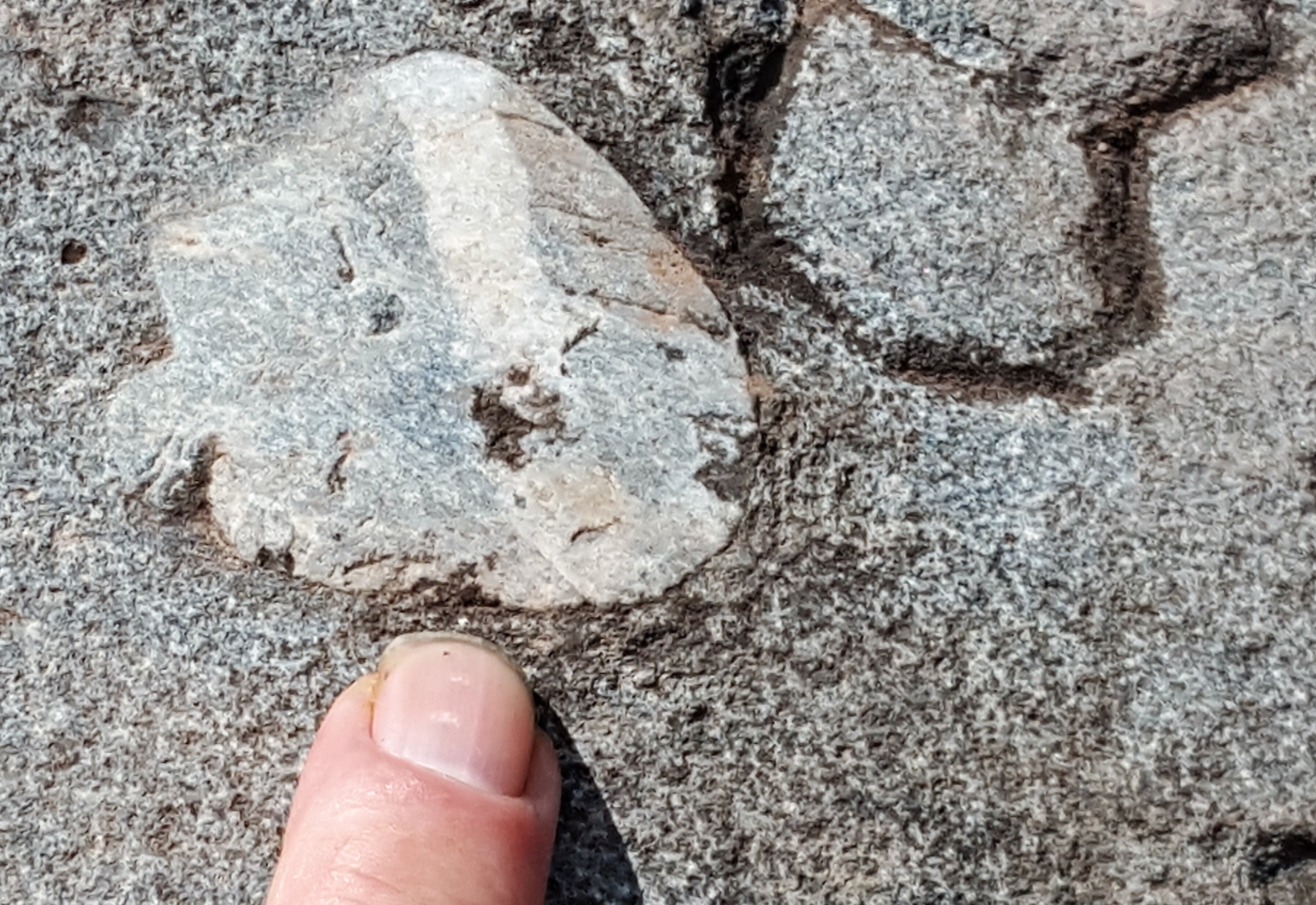 The Catskill Geologist – "I will never kick a rock"