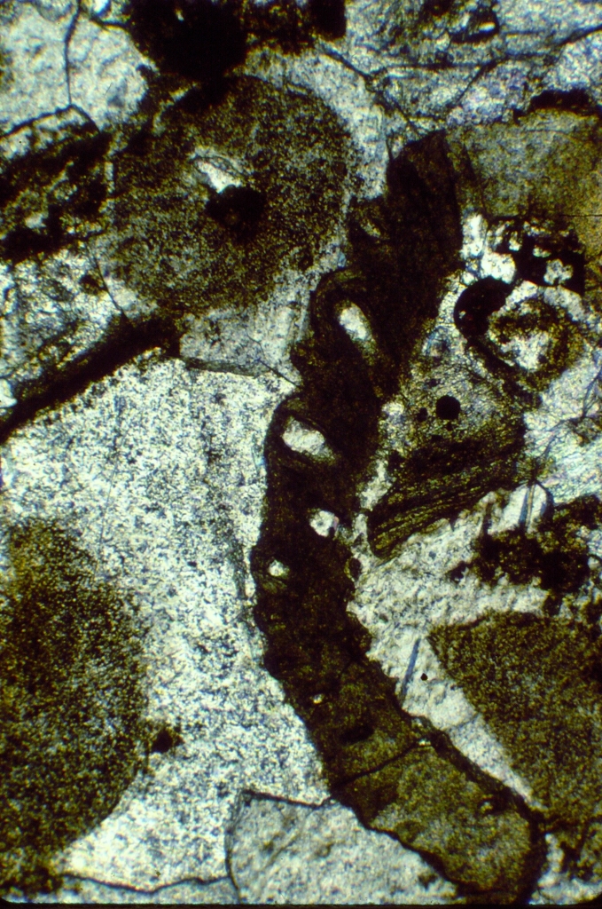 The Catskill Geologist – "I will never kick a rock"