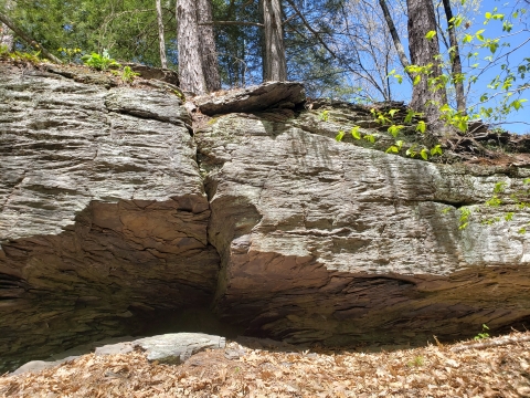 The Catskill Geologist – "I will never kick a rock"