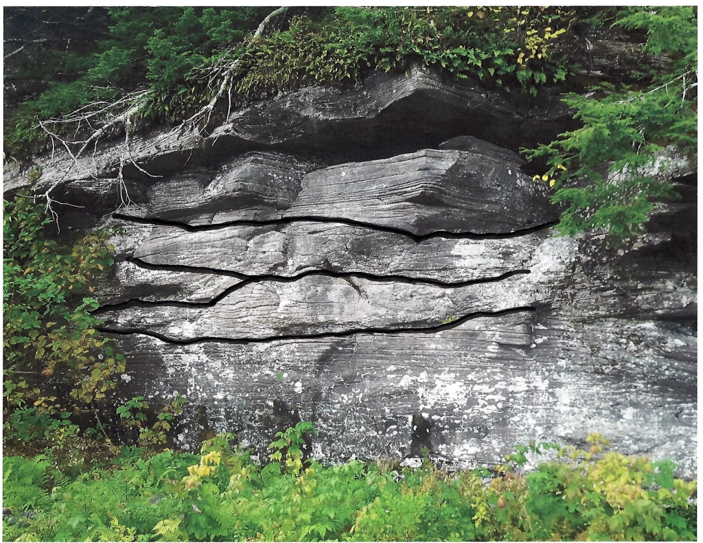 The Catskill Geologist – Page 2 – "I will never kick a rock"