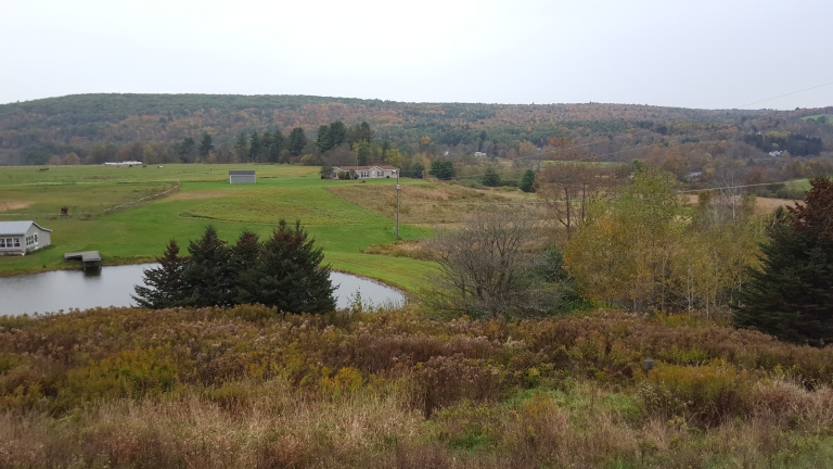 A Delta in Davenport Oct. 19, 2023 – The Catskill Geologist