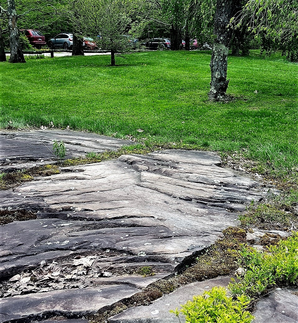 The Catskill Geologist – "I will never kick a rock"