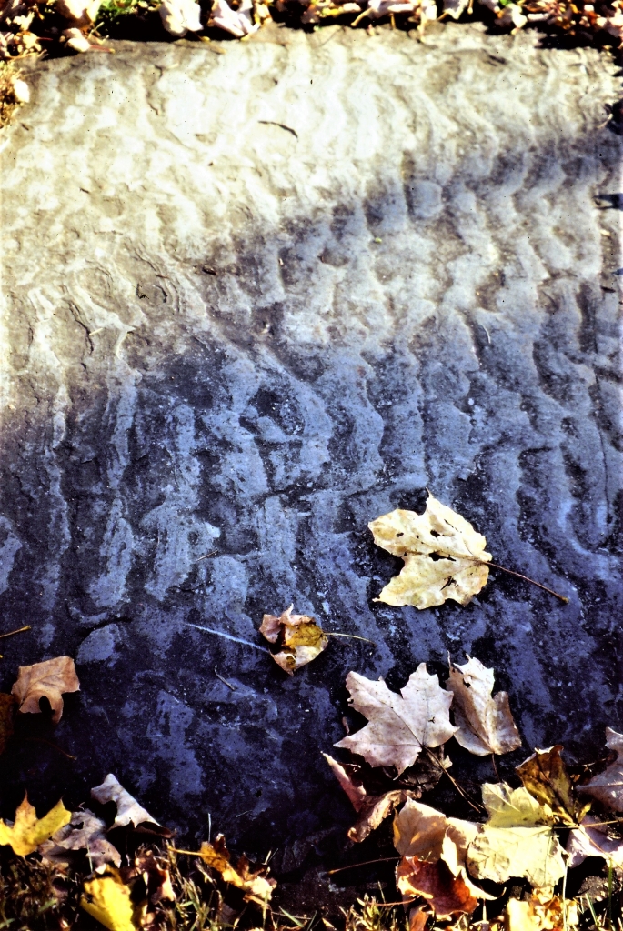 The Catskill Geologist – "I will never kick a rock"