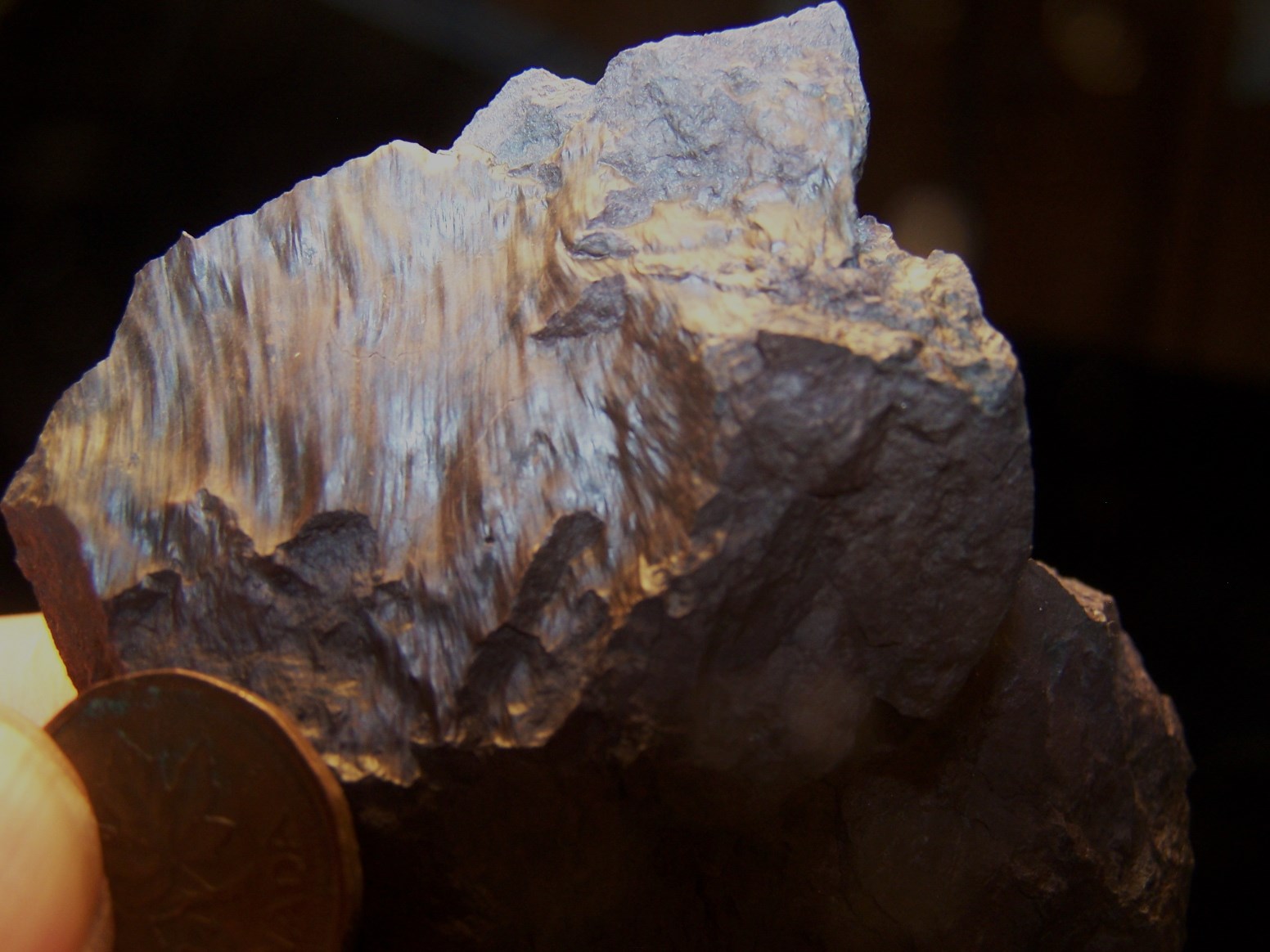 The Catskill Geologist – "I will never kick a rock"
