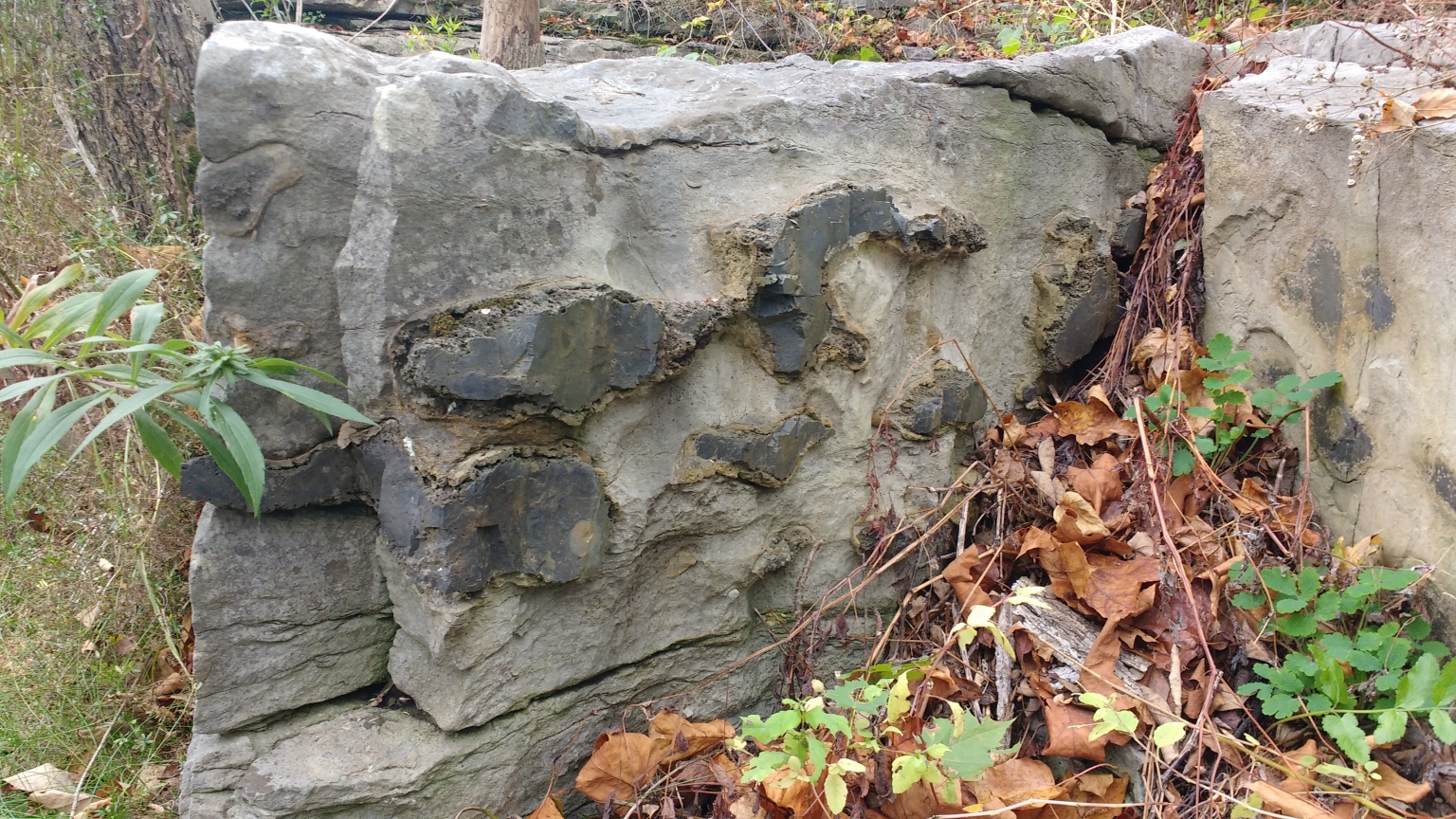 The Origin of Flint; Apr. 28, 2025 – The Catskill Geologist