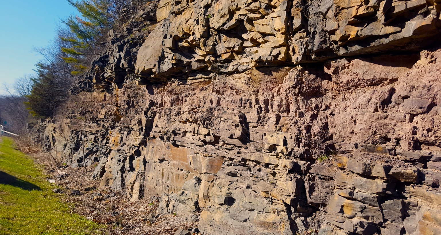 A Fossil Soil — May 11, 2018 – The Catskill Geologist